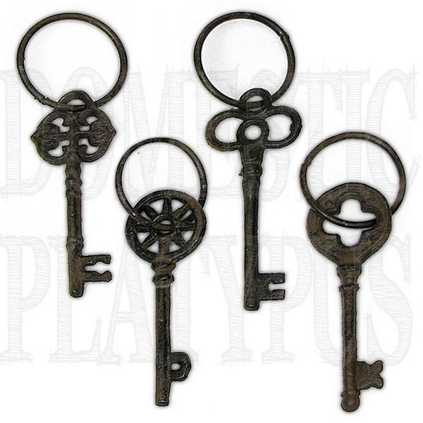 Set of 4 Large Cast Iron Keys – Domestic Platypus