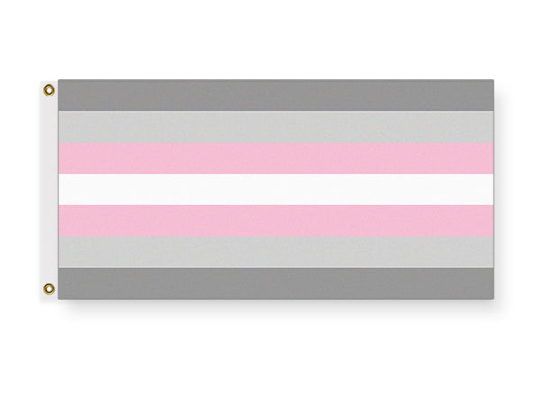 Demigirl Pride Flag - Demigender LGBTQIA/LGBTQX Gender Identity Pride ...