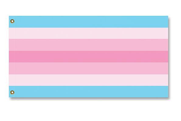 Transfeminine Pride Flag, Custom LGBTQIA Trans-Feminine Transgender ...